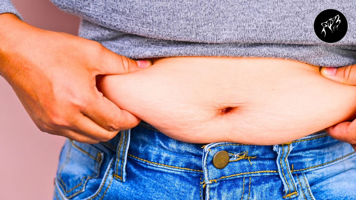 De 10 Meest Gestelde Vragen over Buikvet Verliezen! – THE HUNGRY ELITE